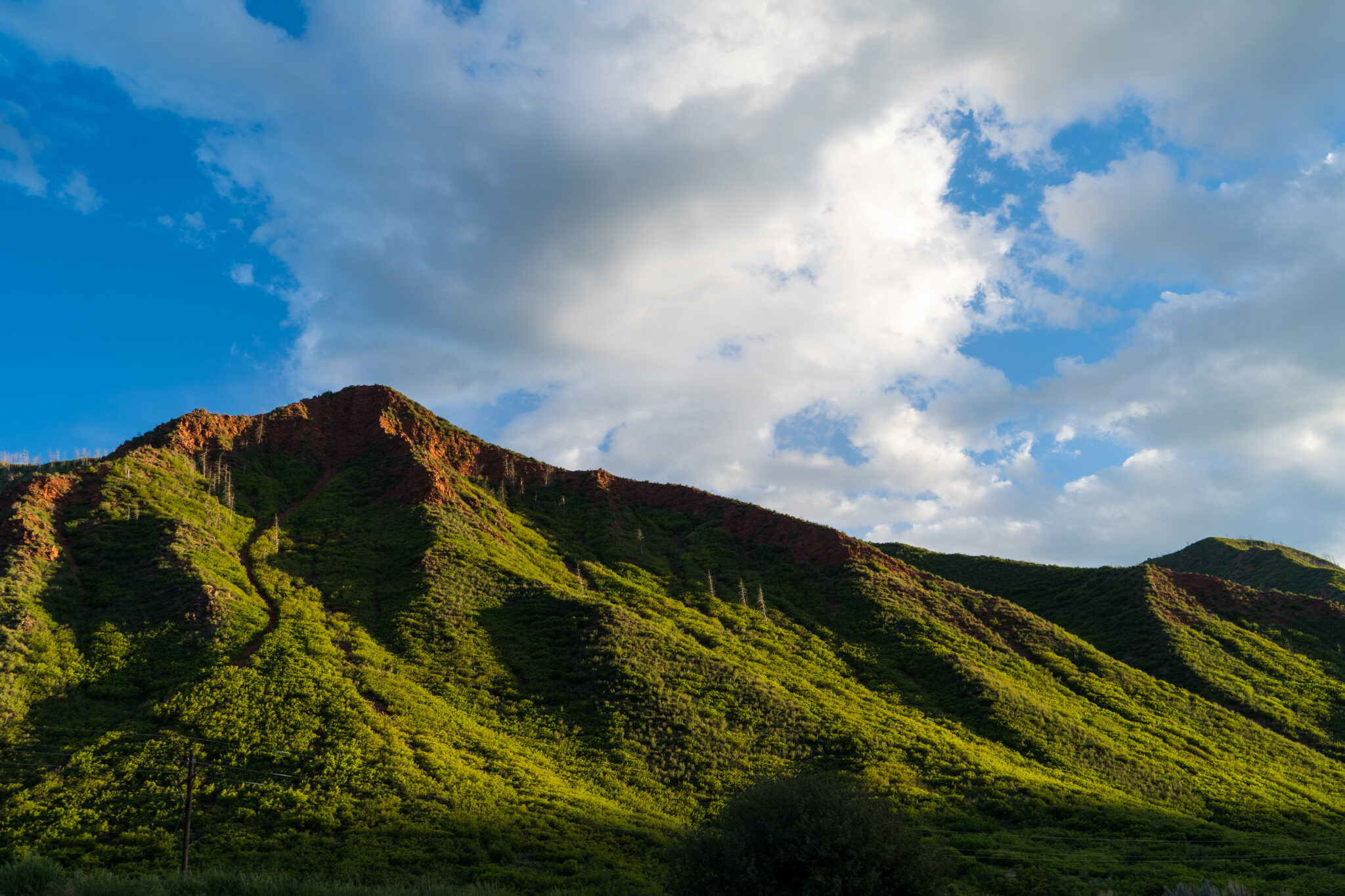 Highlands Ranch - Bellco Credit Union